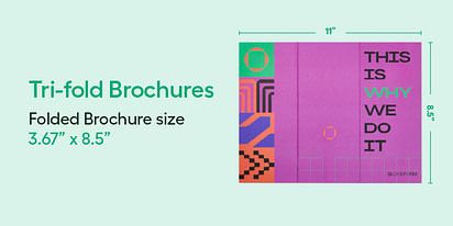 tri fold leaflet dimensions