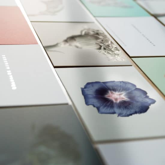 Deborah DeFranco loves spot gloss - MOO Blog