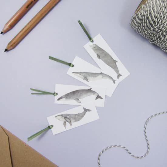 MiniCards that make a big first impression - MOO Blog