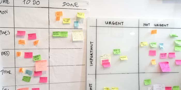 A recipe for a successful business - MOO Blog