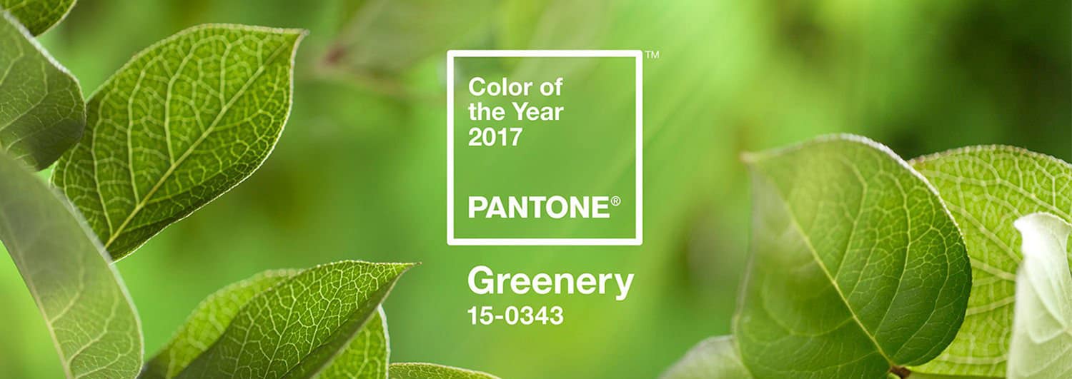 How to use Pantone’s color of the year - MOO Blog